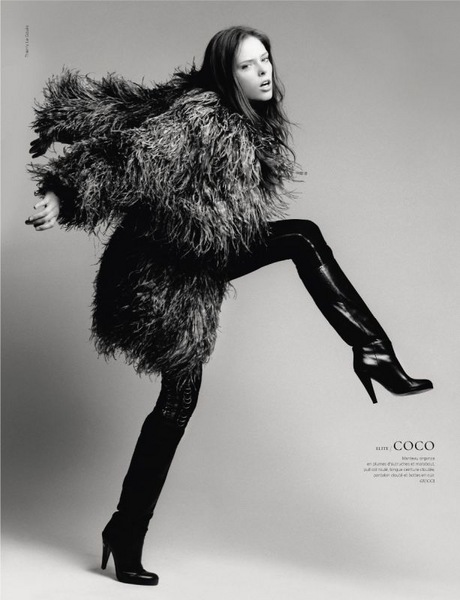 Picture of Coco Rocha