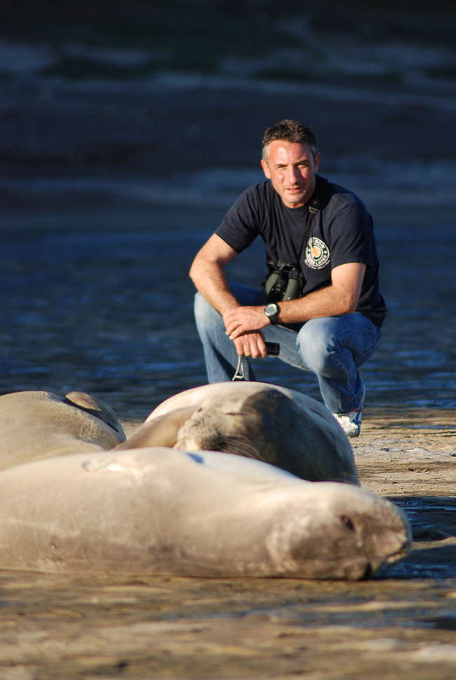 Picture of Vincenzo Venuto