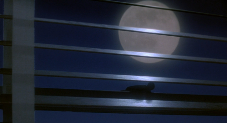 Picture of Moonstruck