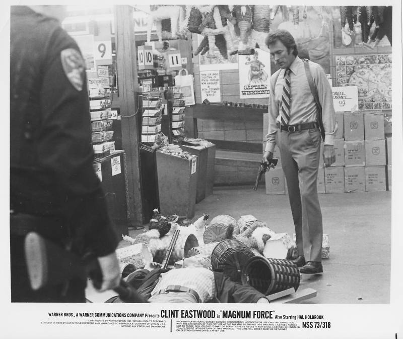 Picture of Magnum Force