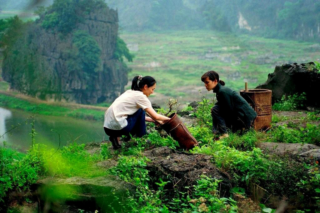 Picture of The Botanist's Daughters
