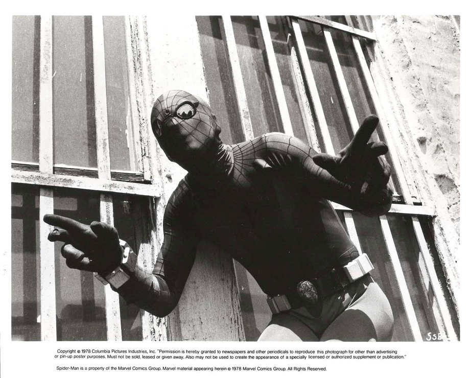 Picture of Spider-Man Strikes Back