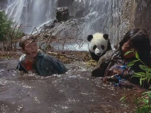 Picture of The Amazing Panda Adventure