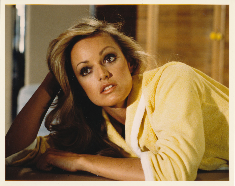 Picture of Susan Anton