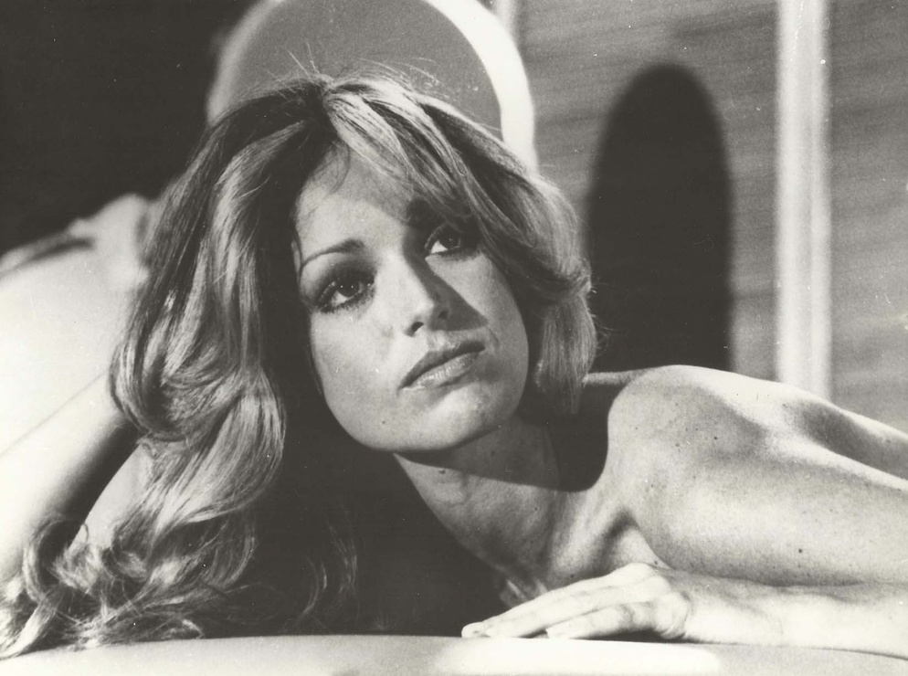 Picture of Susan Anton