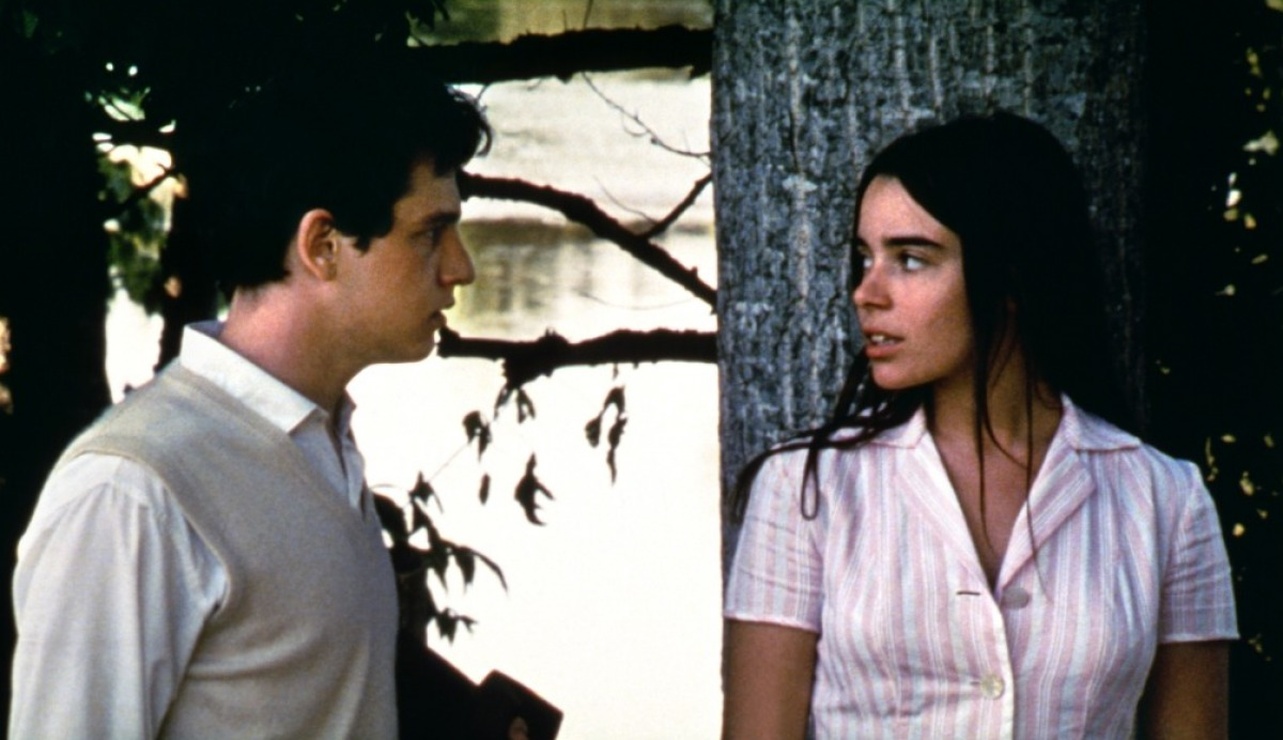 Picture of Wild Reeds