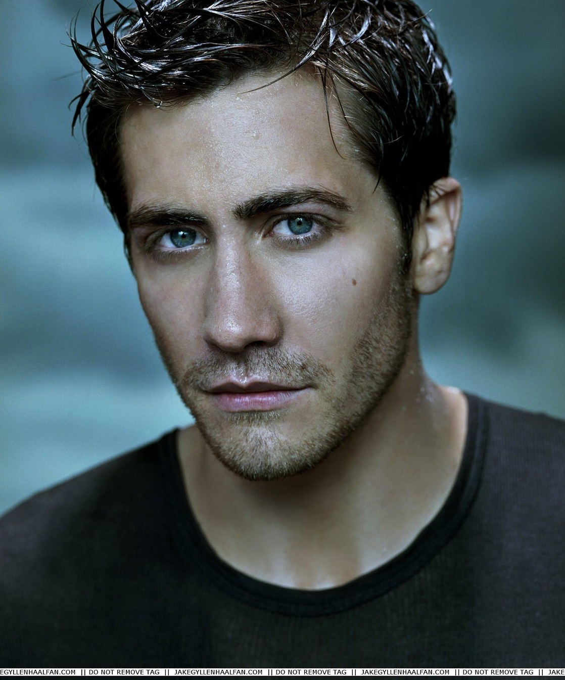 Picture of Jake Gyllenhaal