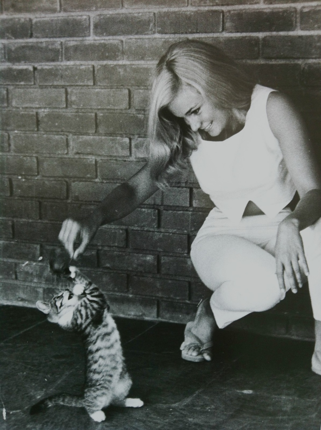 Picture of Yvette Mimieux