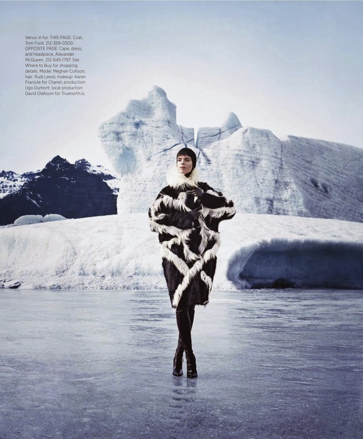 Meghan Collison image