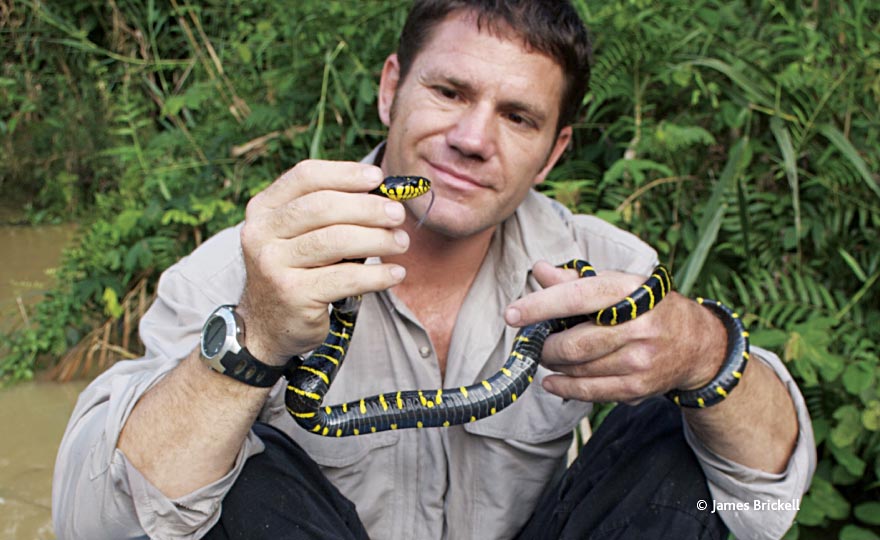 Steve Backshall image