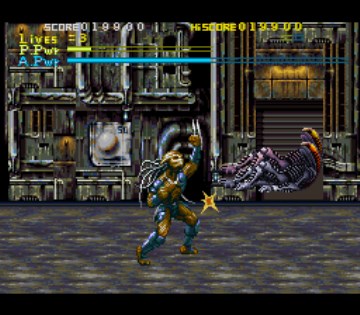 Picture of Alien vs. Predator