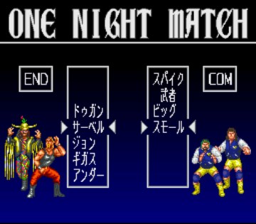 Super Fire ProWrestling Special image