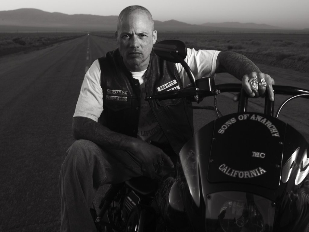 Picture of David Labrava
