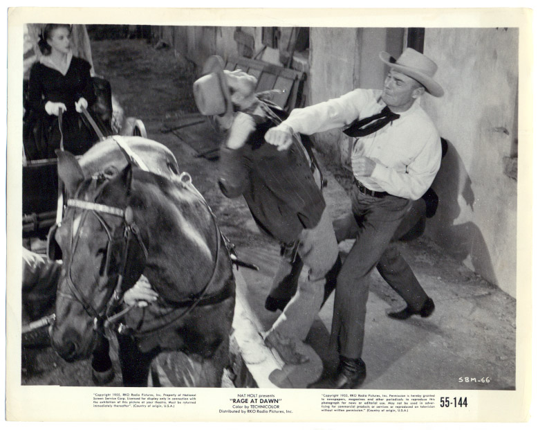 Picture of Rage at Dawn