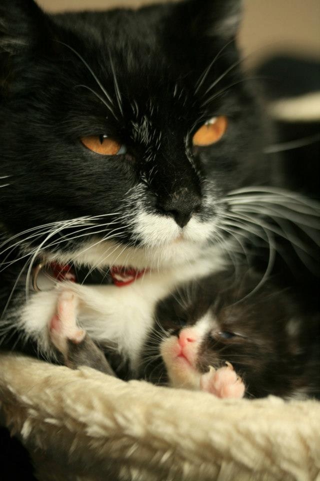 Listal - List the stuff you love! Movies, TV, music, games and books