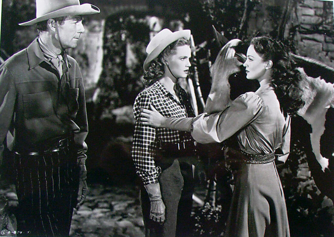 Picture of Gunfighters (1947)