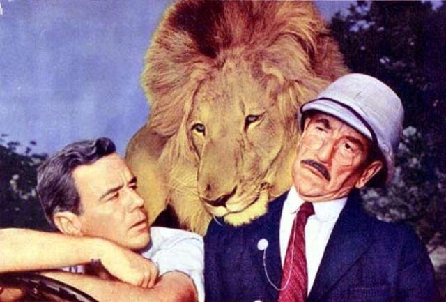 Clarence, the Cross-Eyed Lion image