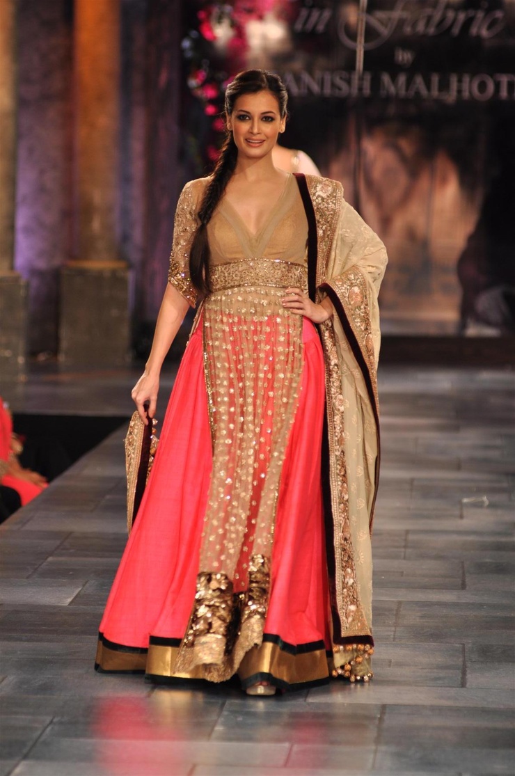 Picture of Diya Mirza