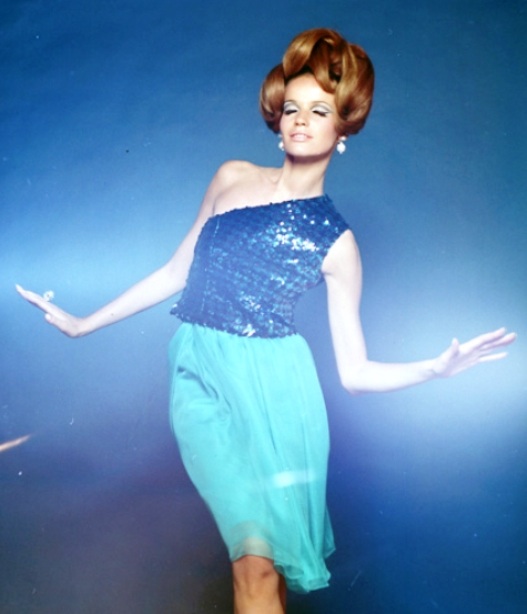 Veruschka von Lehndorff picture