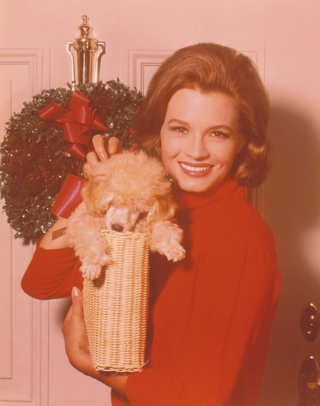 Image of Angie Dickinson