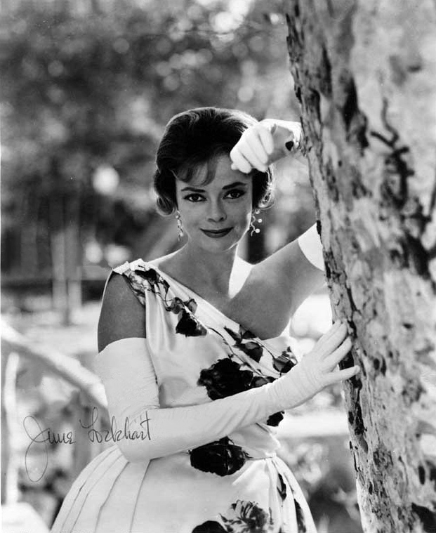 Picture of June Lockhart