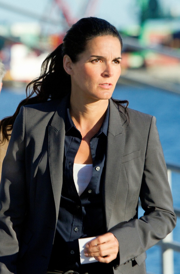 Angie Harmon picture