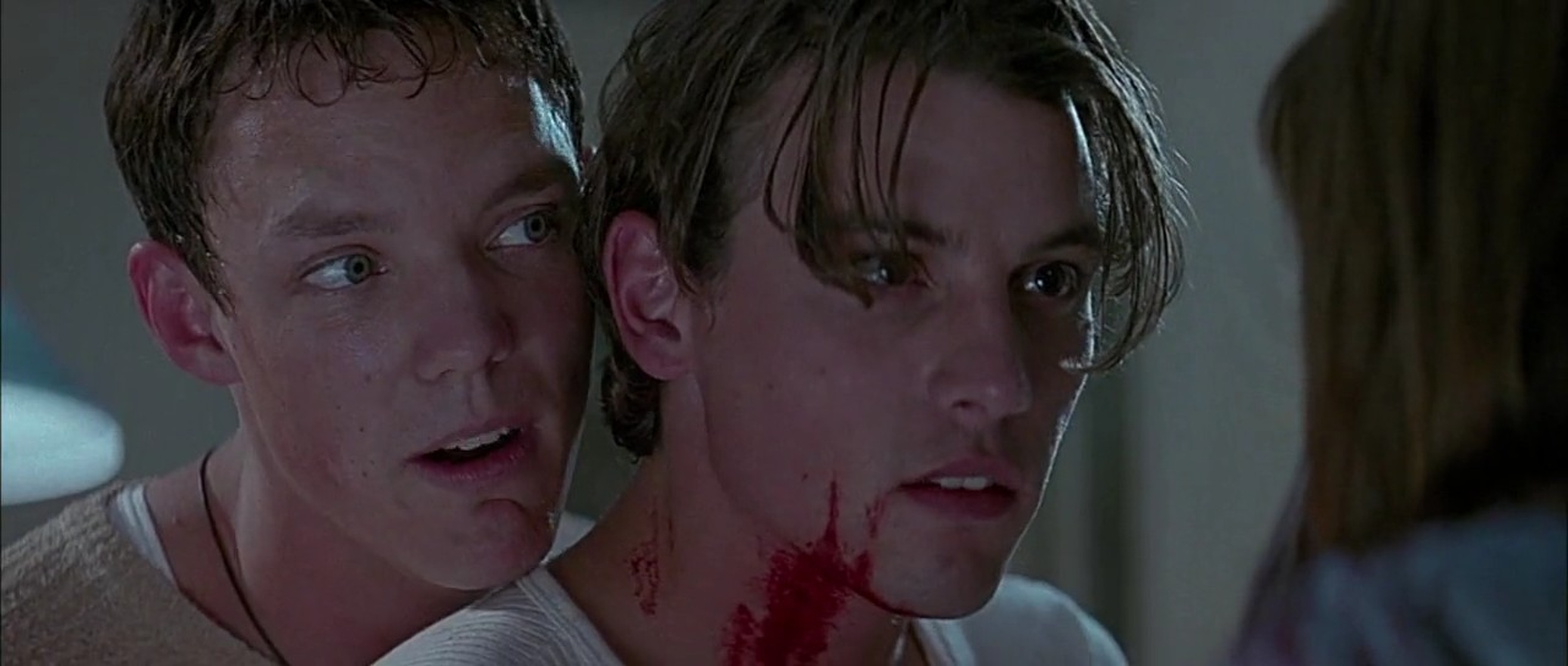 Picture of Scream (1996)