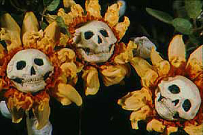 Picture of Blood Tea and Red String