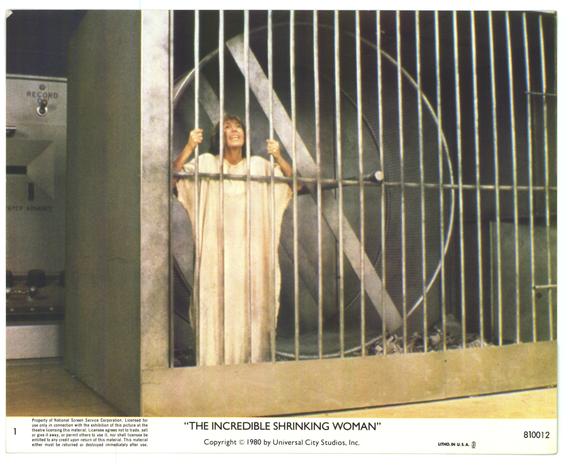 Picture of The Incredible Shrinking Woman