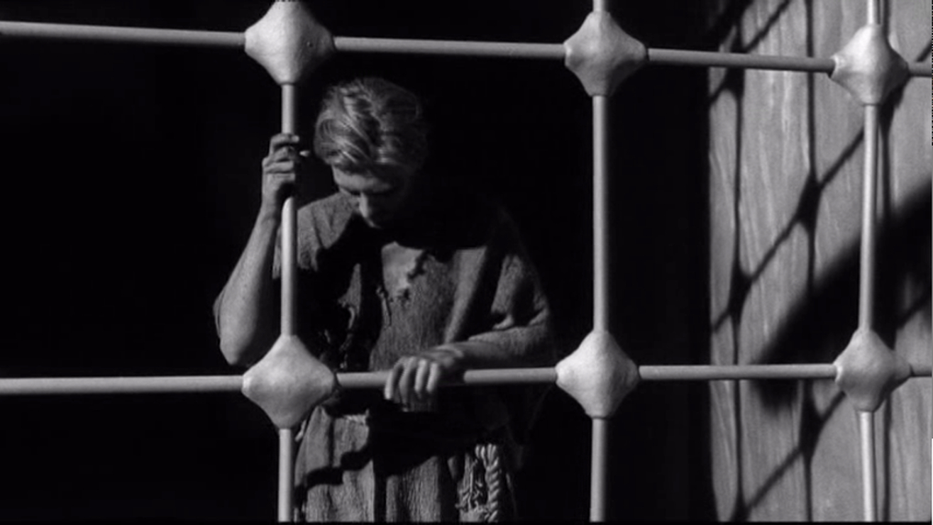 Picture of The Incredible Shrinking Man