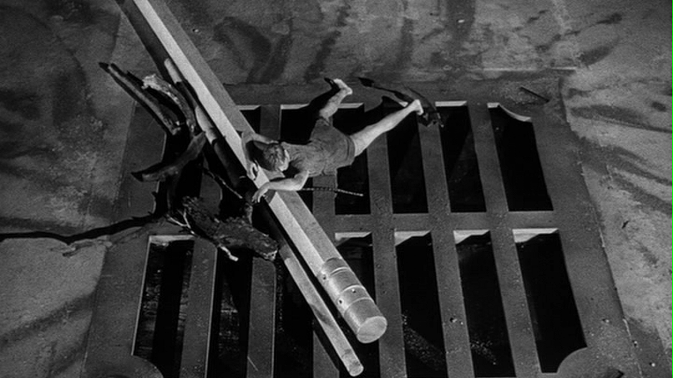 The Incredible Shrinking Man image