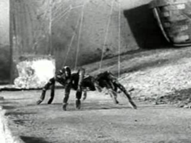 Picture of The Incredible Shrinking Man