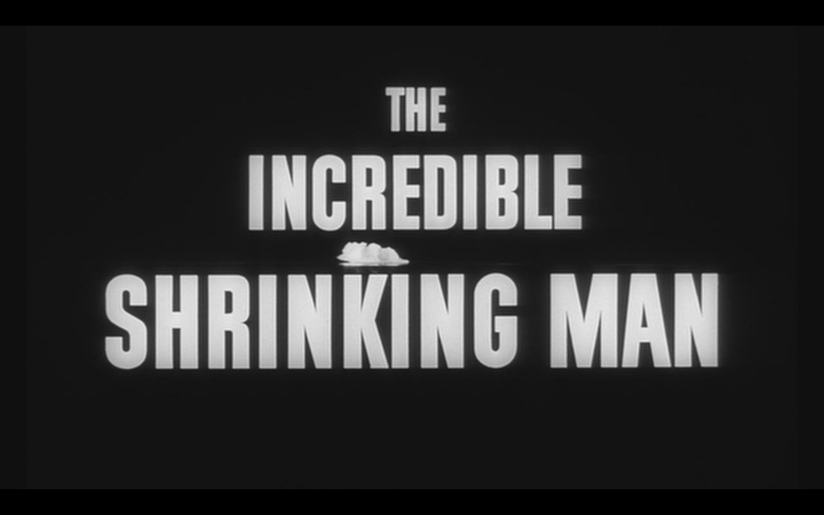 The Incredible Shrinking Man image