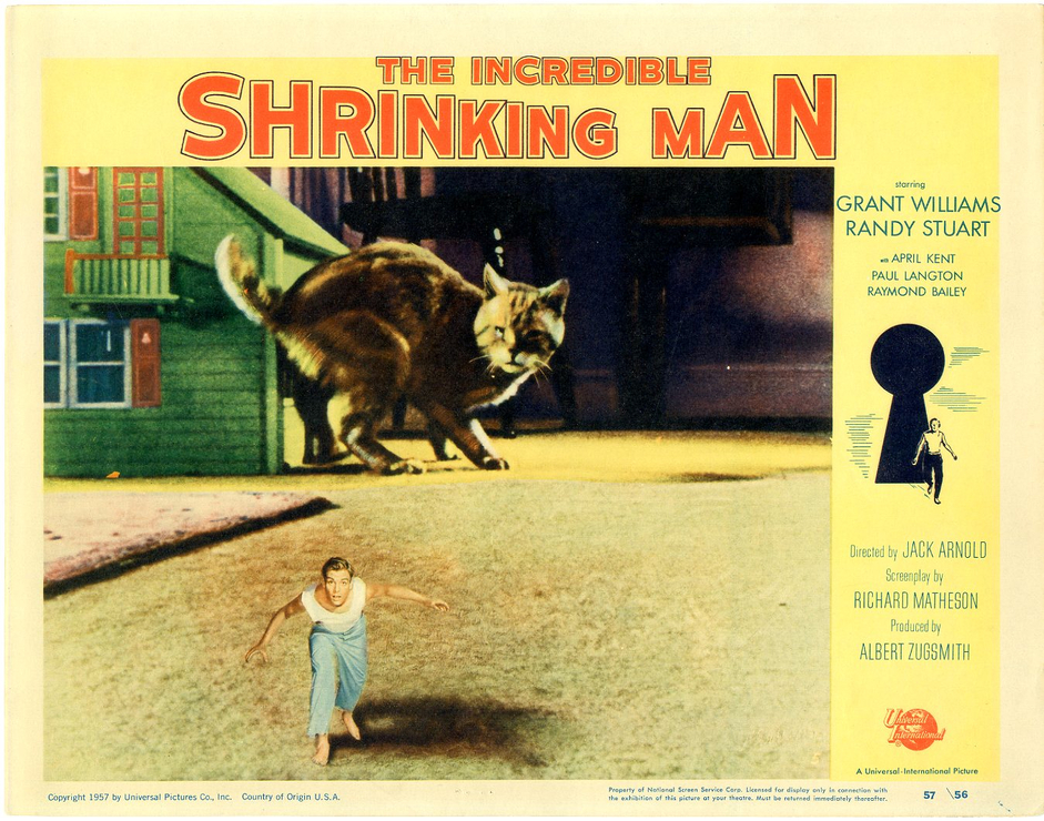 Picture of The Incredible Shrinking Man