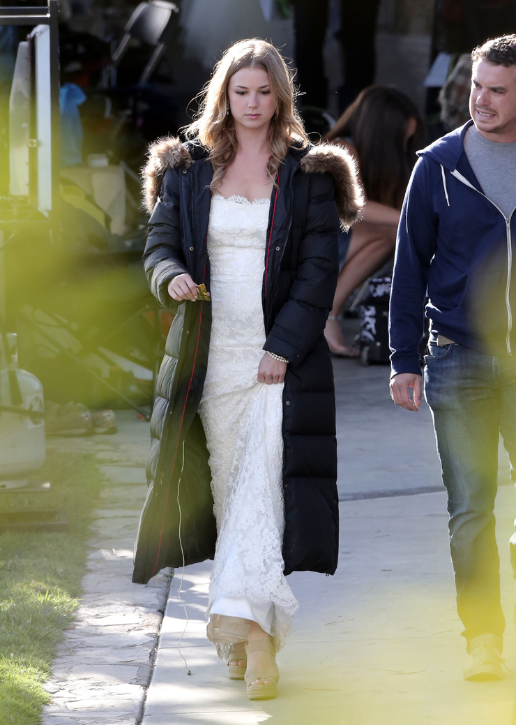 Image of Emily VanCamp