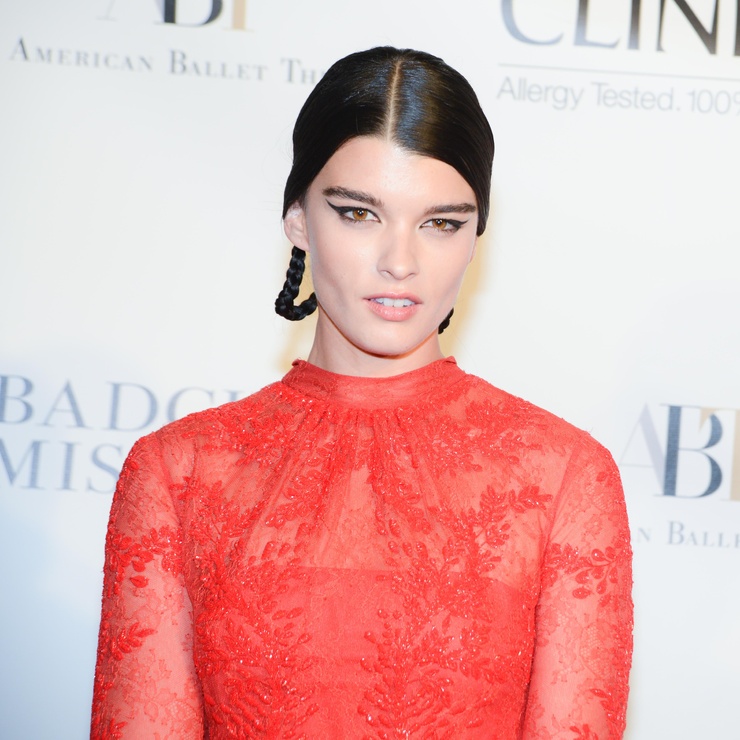 Picture of Crystal Renn