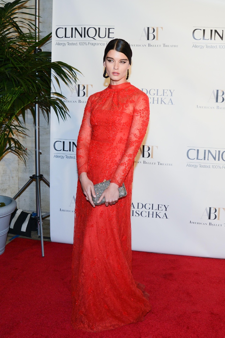 Picture of Crystal Renn