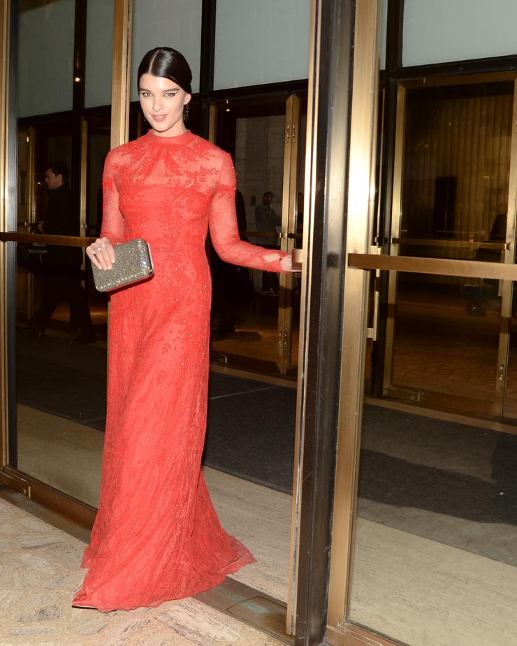 Picture of Crystal Renn