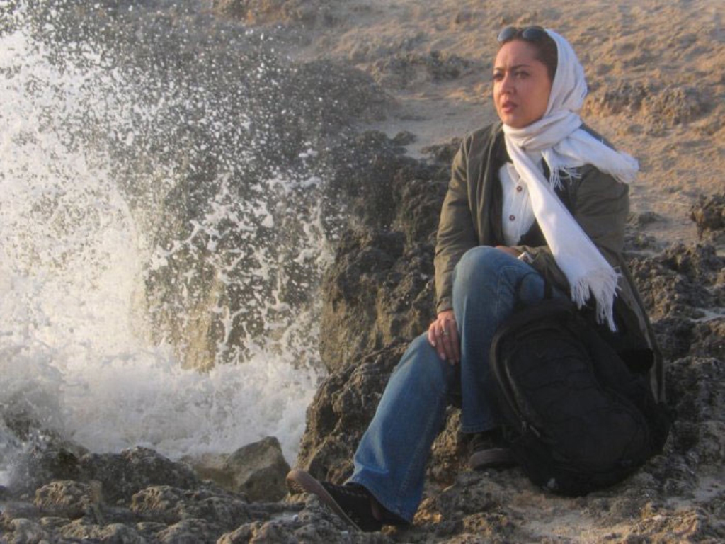 Picture of Niki Karimi