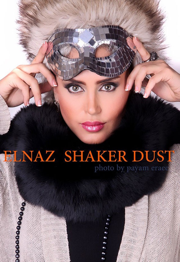 Image of Elnaz Shakerdust