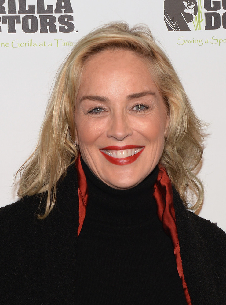 Picture of Sharon Stone