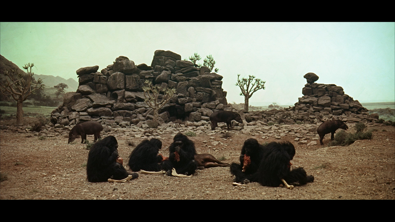 Picture of 2001: A Space Odyssey
