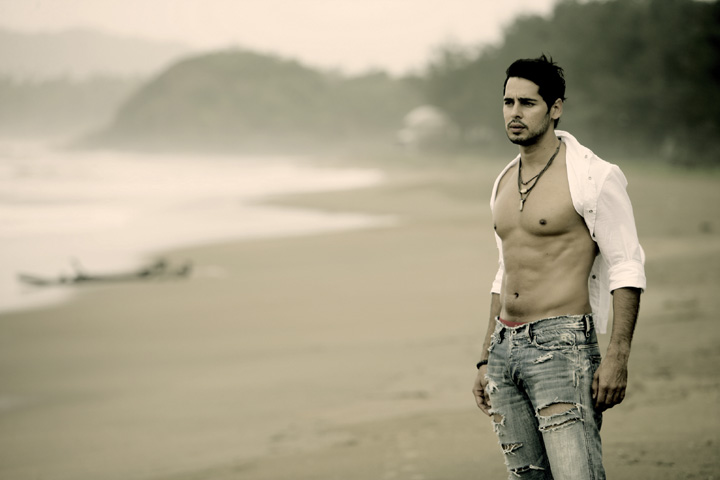 Picture of Dino Morea