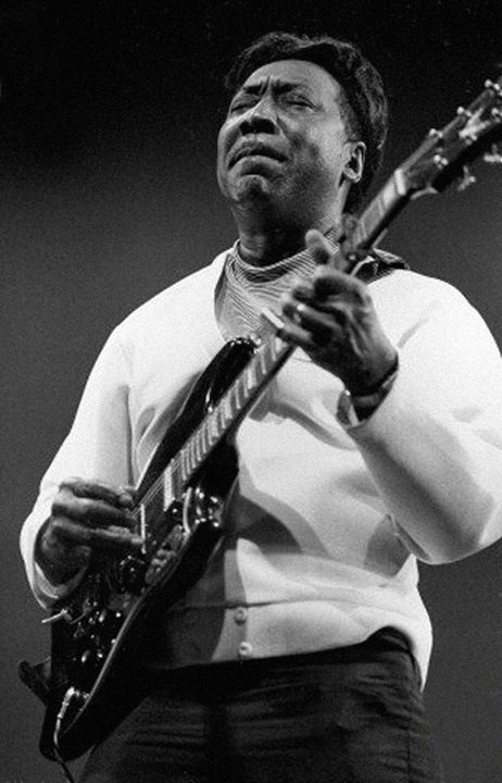 Picture of Muddy Waters