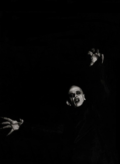 Image of Count Orlok