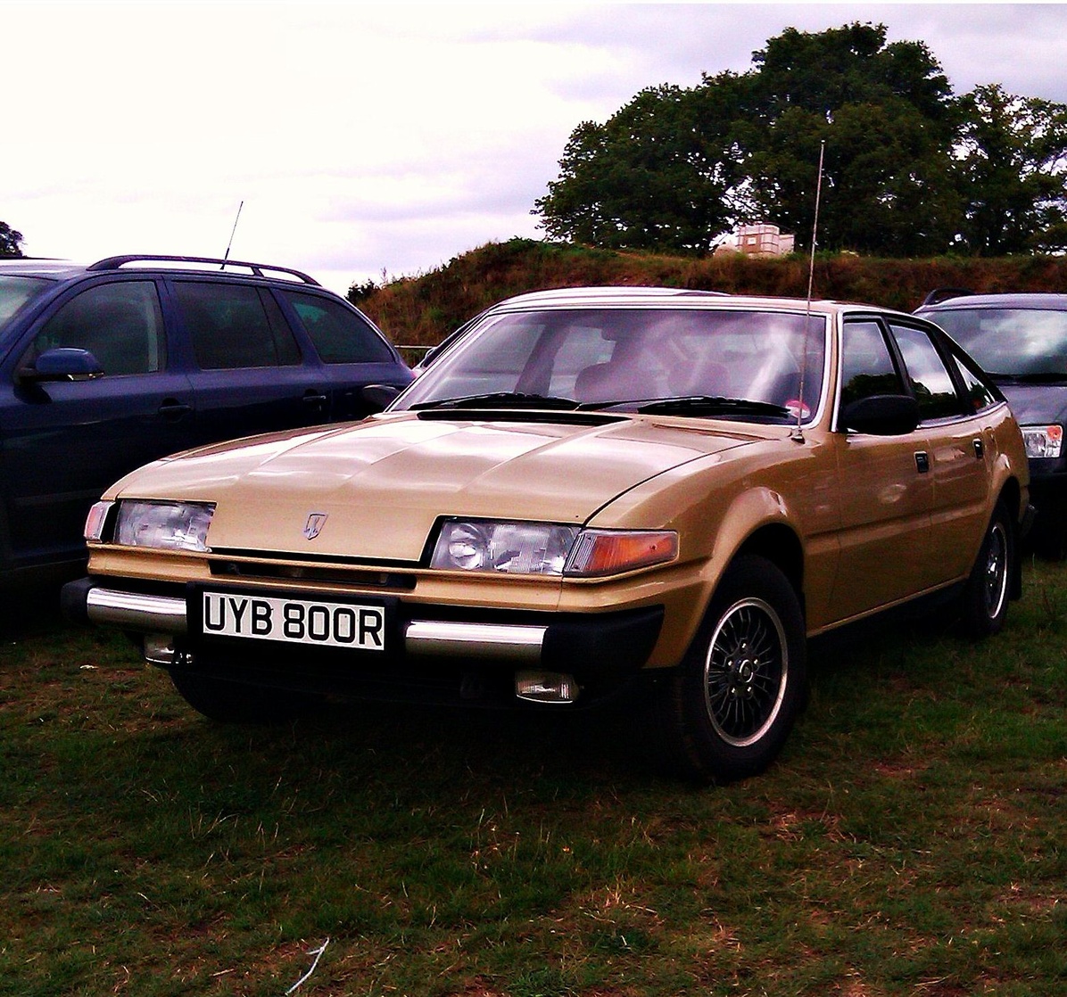 Picture of Rover SD1