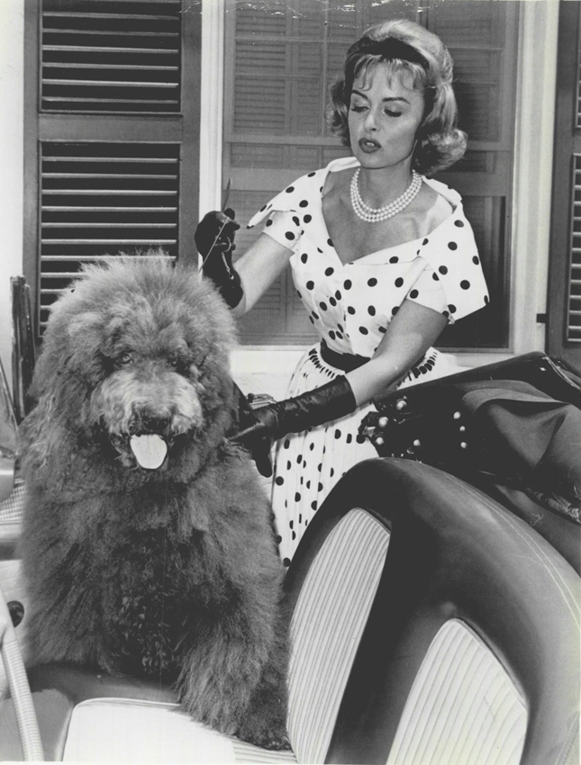 Picture of Donna Reed