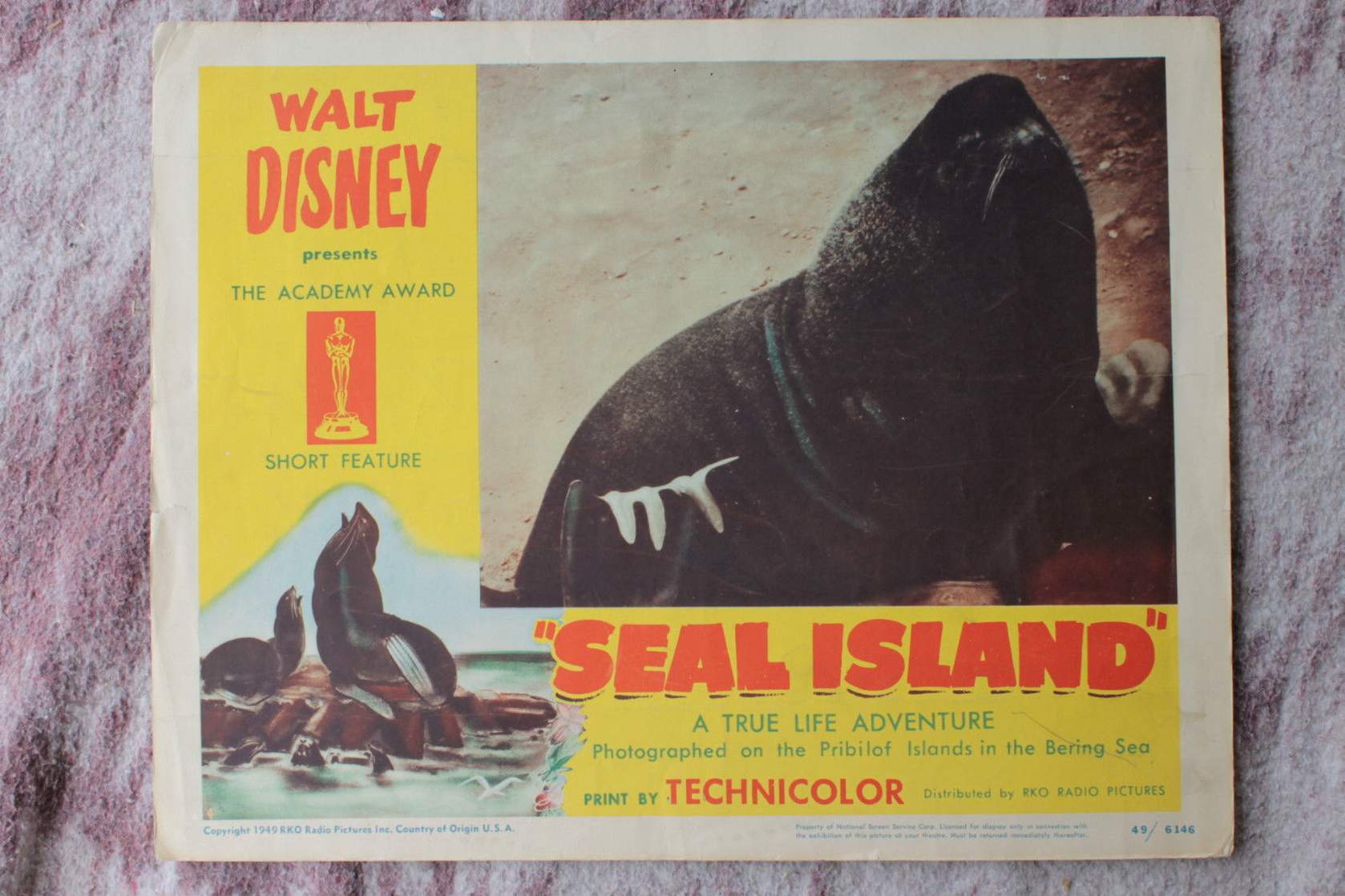 Picture of Seal Island