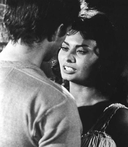 Desire Under the Elms (1958) picture