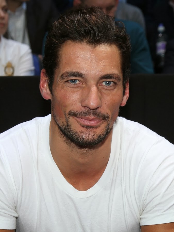 David Gandy picture